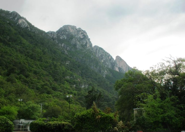 An Evening in Nuevo Leon’s Amazing Cumbres de Monterrey National Park ...