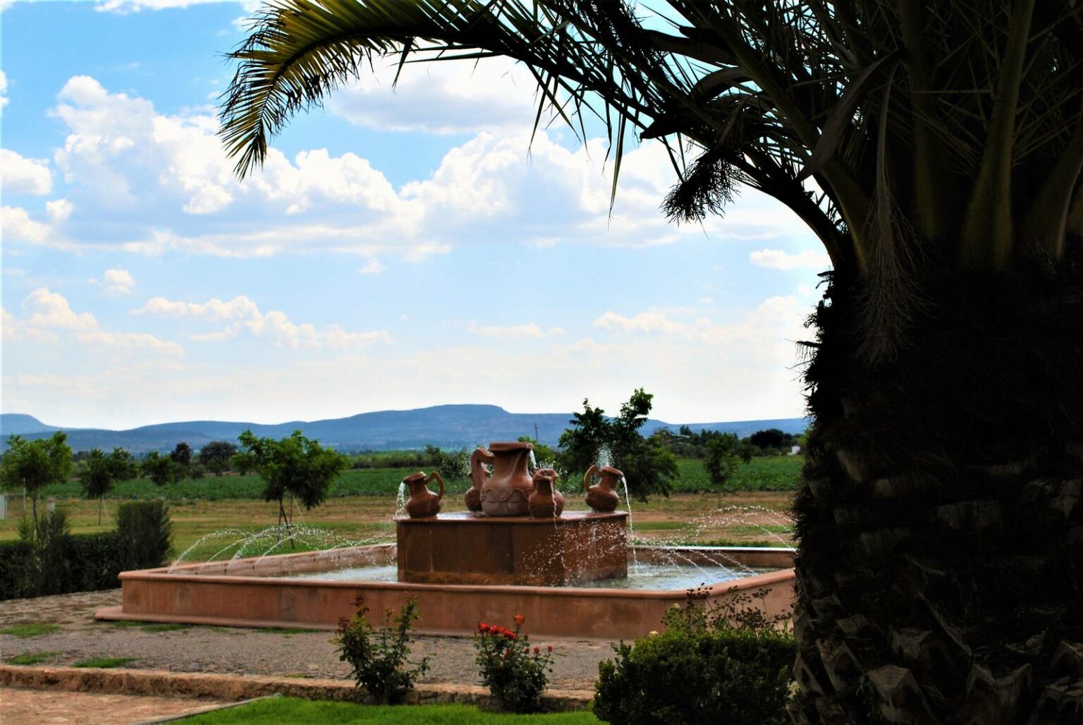 Sampling fine wines on the Querétaro Wine Trail - MexConnect