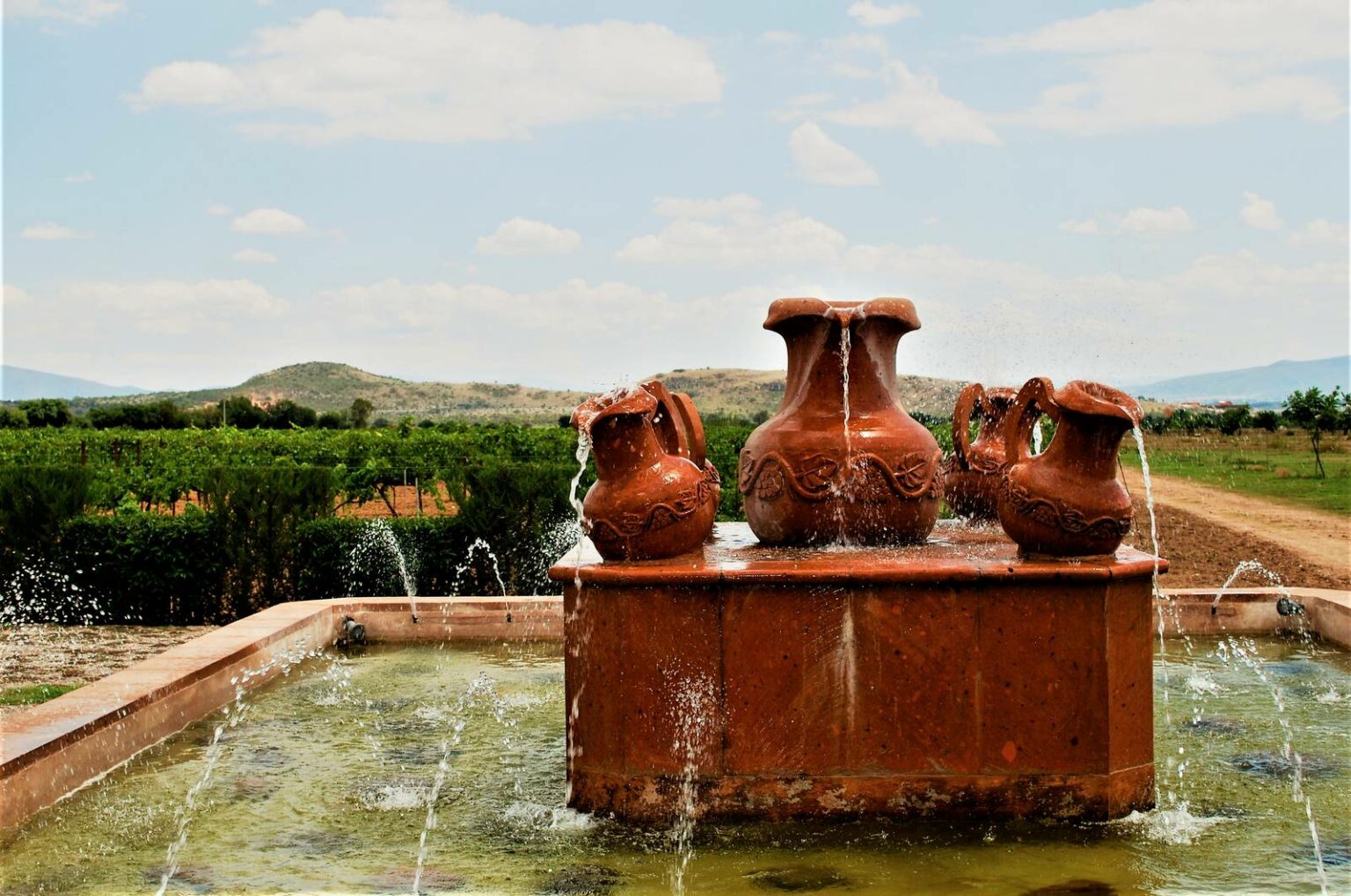 Sampling fine wines on the Querétaro Wine Trail - MexConnect