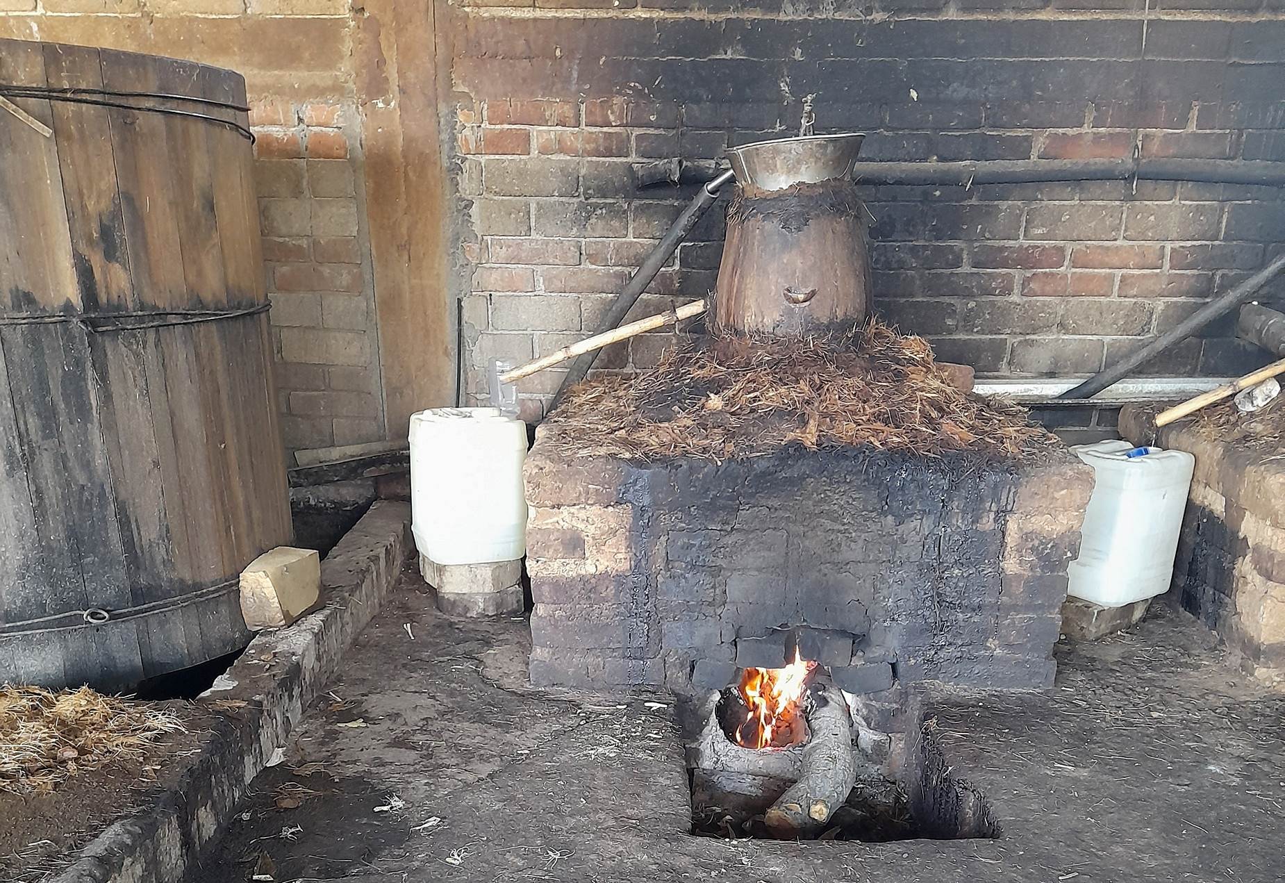 How Sustainable is the Mezcal Industry in Oaxaca? - MexConnect